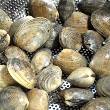 Clam Linguine with Herbs and Bacon - Pinch and Swirl