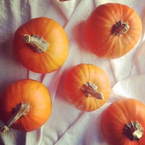 Mini Pumpkin Pies (Baked in a Mini Pumpkin!) - Pinch and Swirl