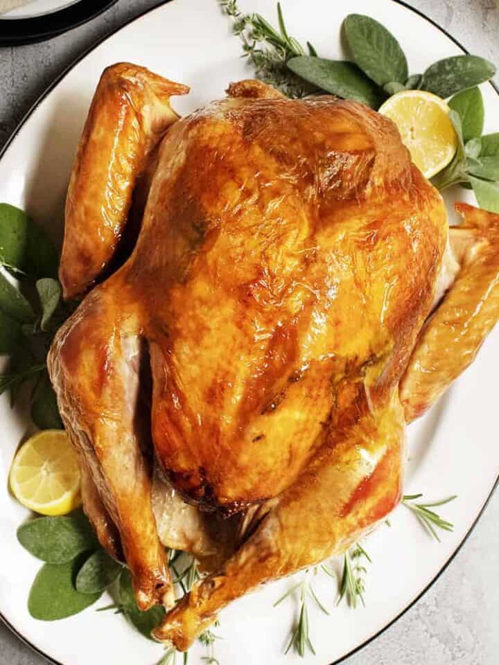 Easy and Delicious Turkey Recipes - Pinch and Swirl